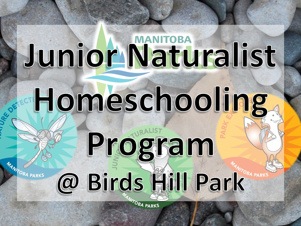 Junior Naturalist Homeschooling Program @Birds Hill
